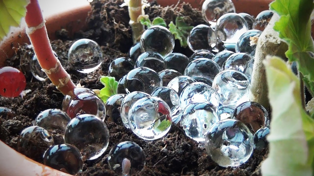 Výroba domáceho gélu na polievanie: praktické riešenie pre vaše ...